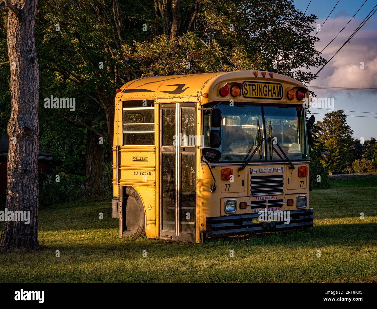 School bus in rural New York Stock Photo - Alamy