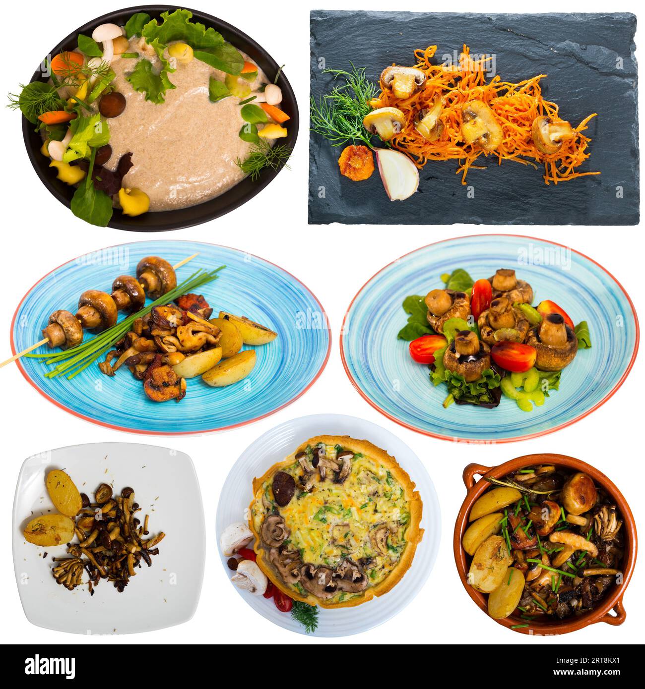 Set of assorted dishes with mushrooms Stock Photo - Alamy
