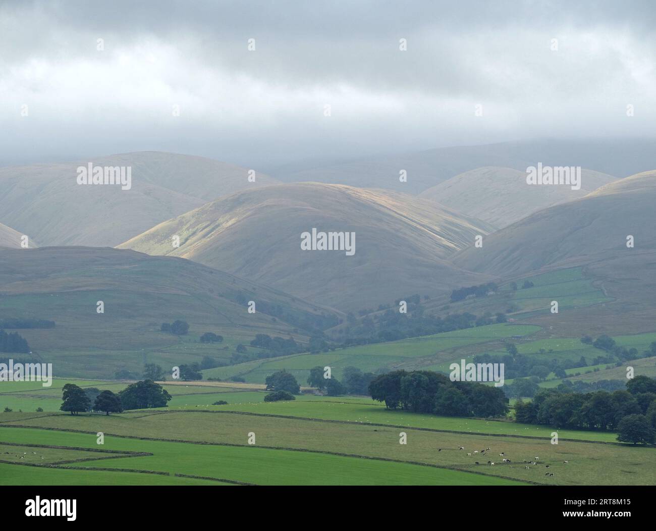 soft sunshine filtering through misty clouds hanging above rounded ...