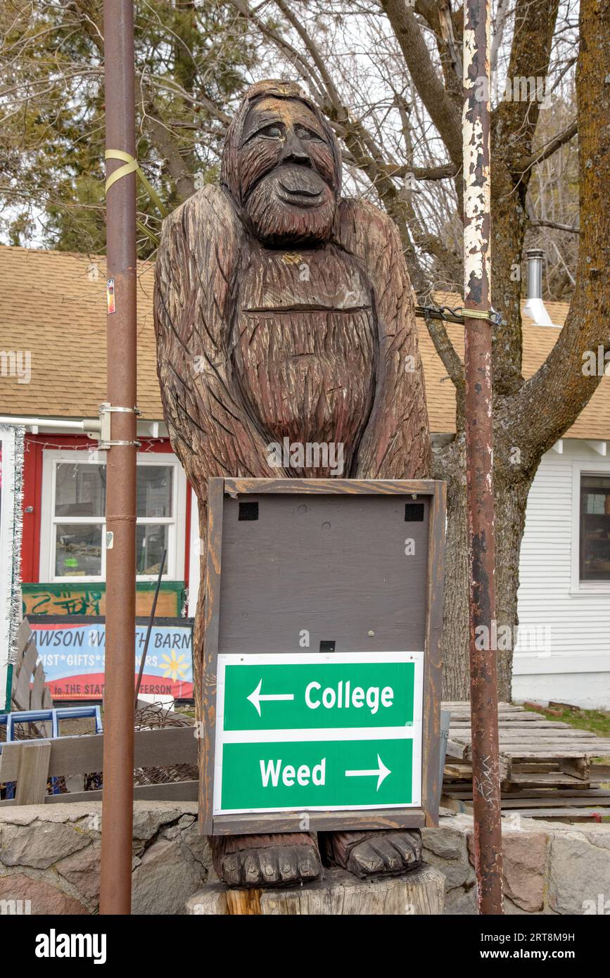 Arrow weed hi-res stock photography and images - Alamy