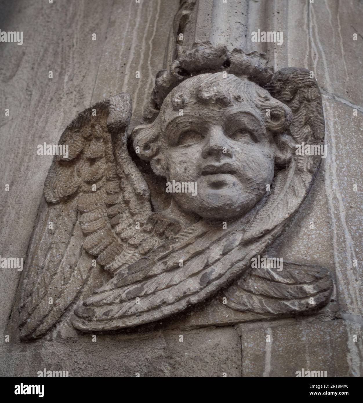 Philadelphia wings hi-res stock photography and images - Alamy