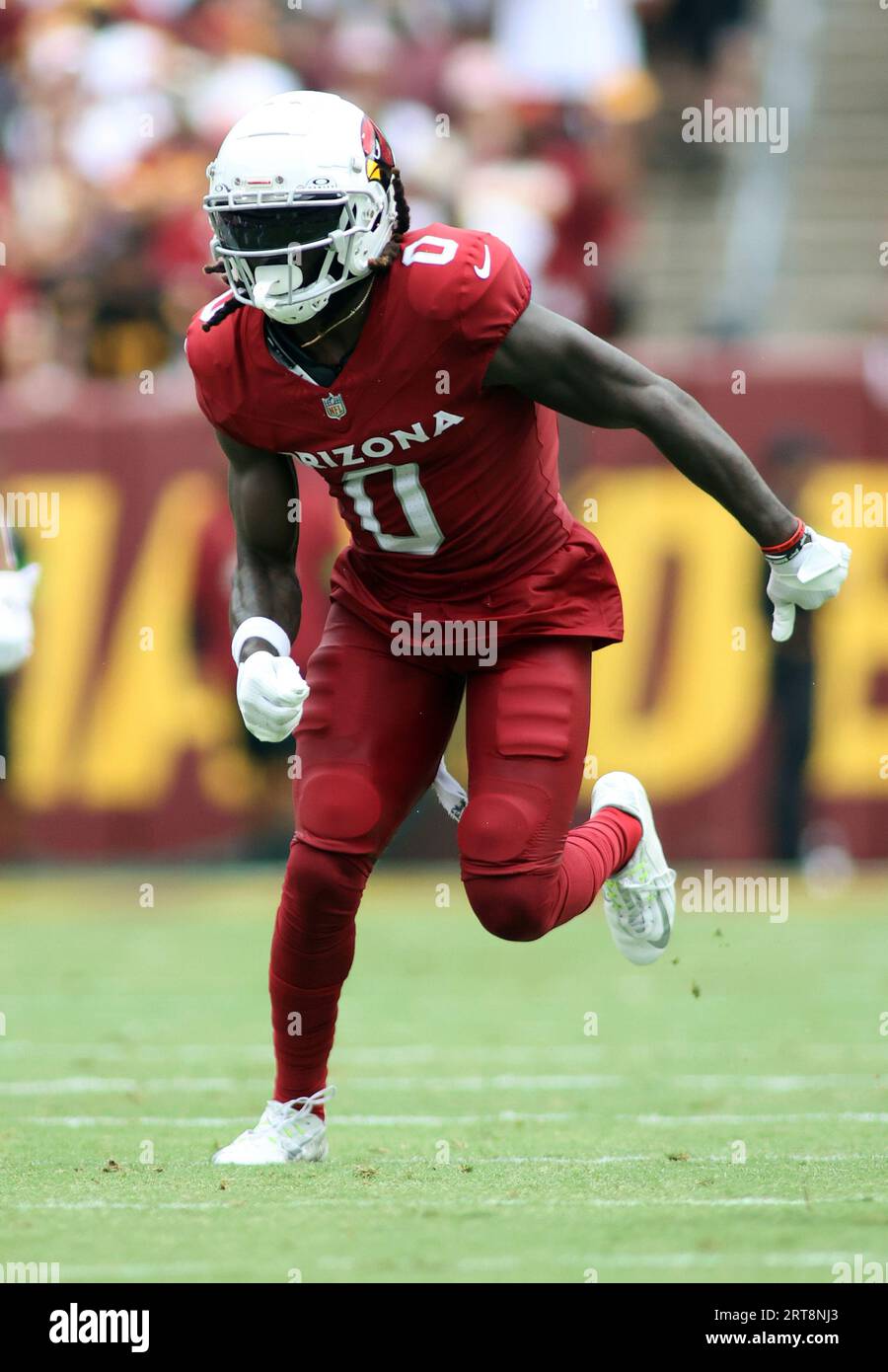 Arizona Cardinals wide receiver Zach Pascal (0) runs during an NFL ...