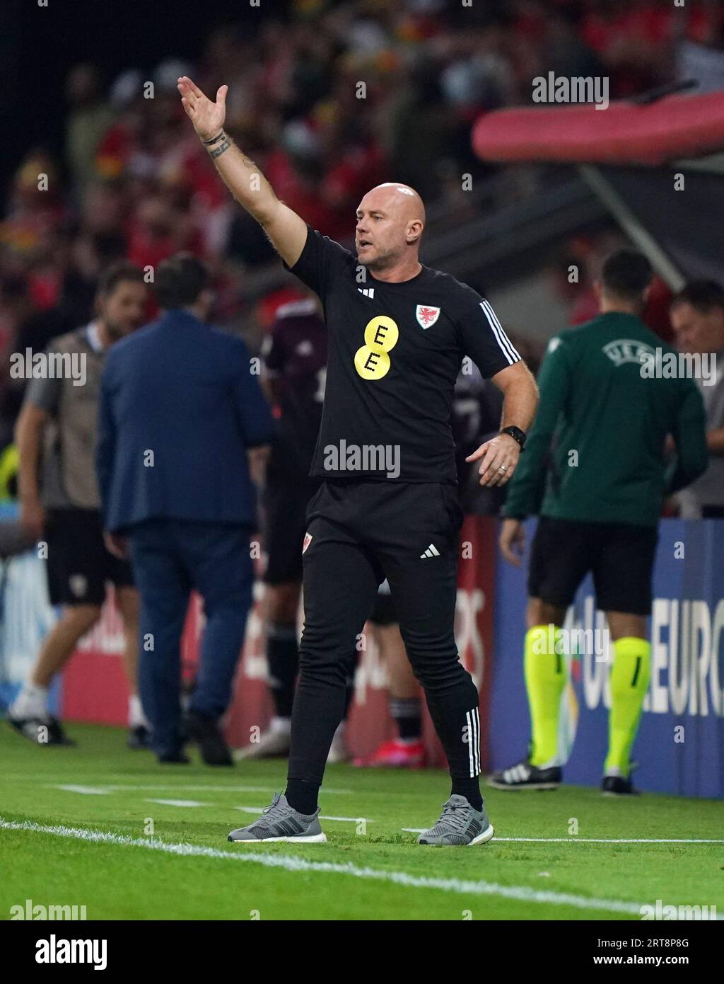 Wales manager Rob Page during the UEFA Euro 2024 Qualifying Group D ...