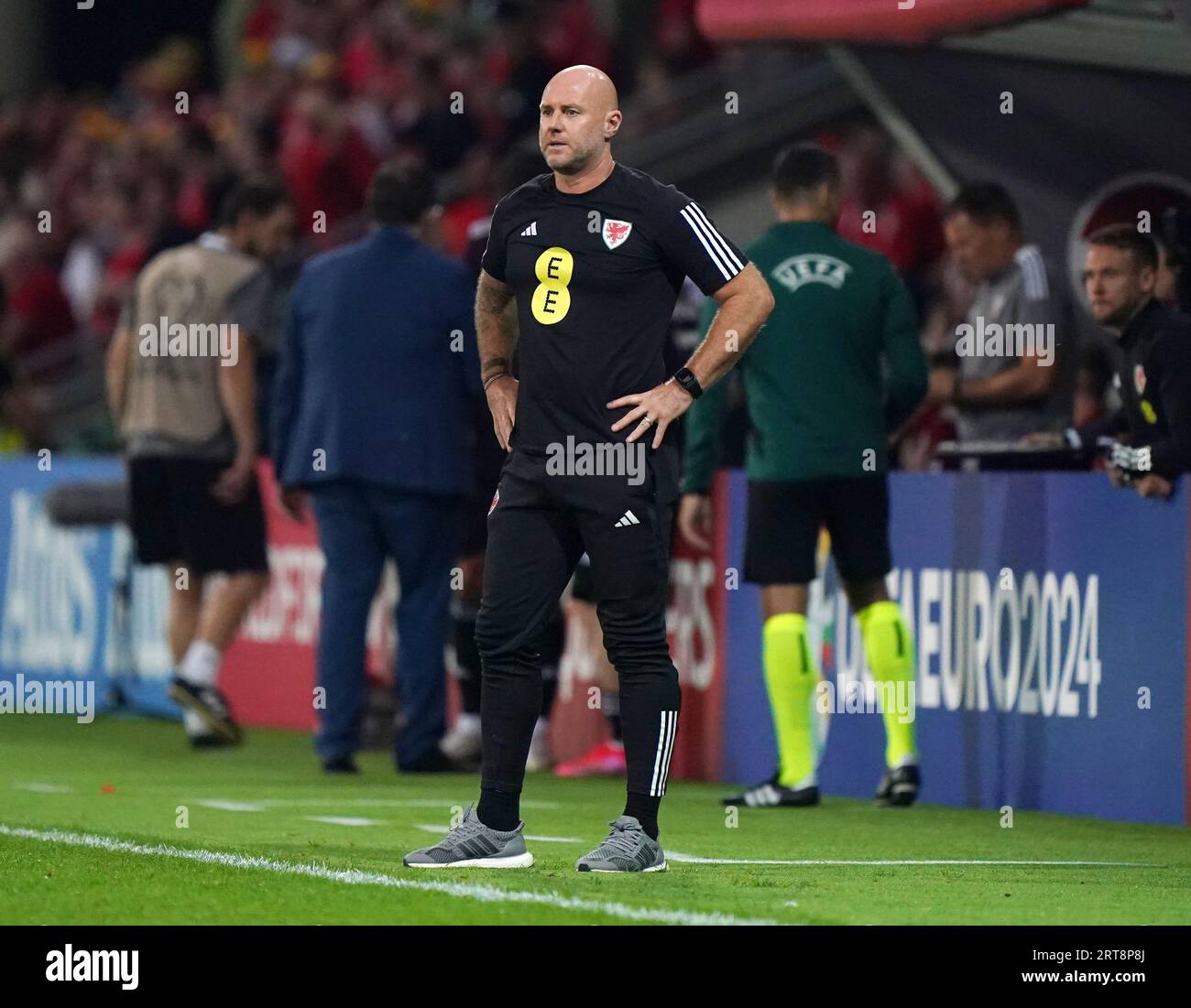 Wales manager Rob Page during the UEFA Euro 2024 Qualifying Group D ...