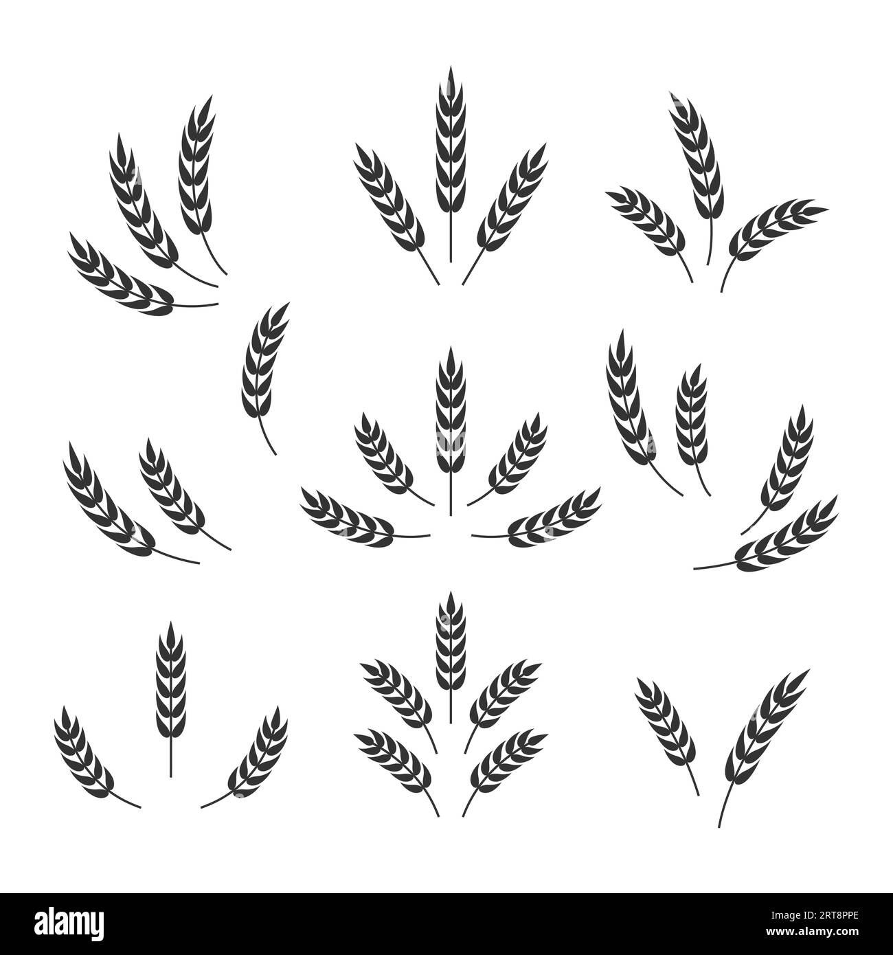 Flat Vector Agriculture Wheat Icon Set Isolated, Organic Wheat, Rice ...