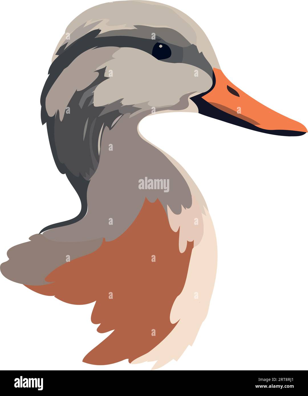 Cute duck head, symbol of nature beauty Stock Vector Image & Art - Alamy