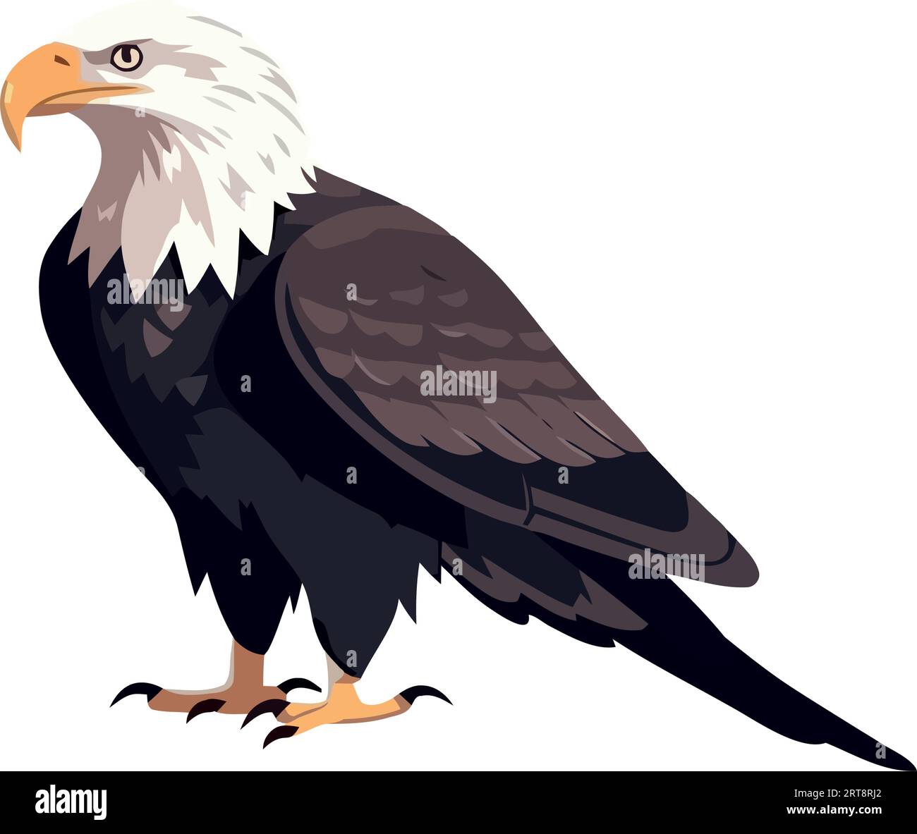 Bald eagle soaring, symbol of freedom, in nature majestic embrace Stock ...