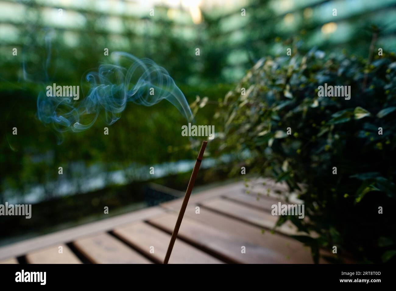 An incense stick is smoking on the terrace Stock Photo - Alamy