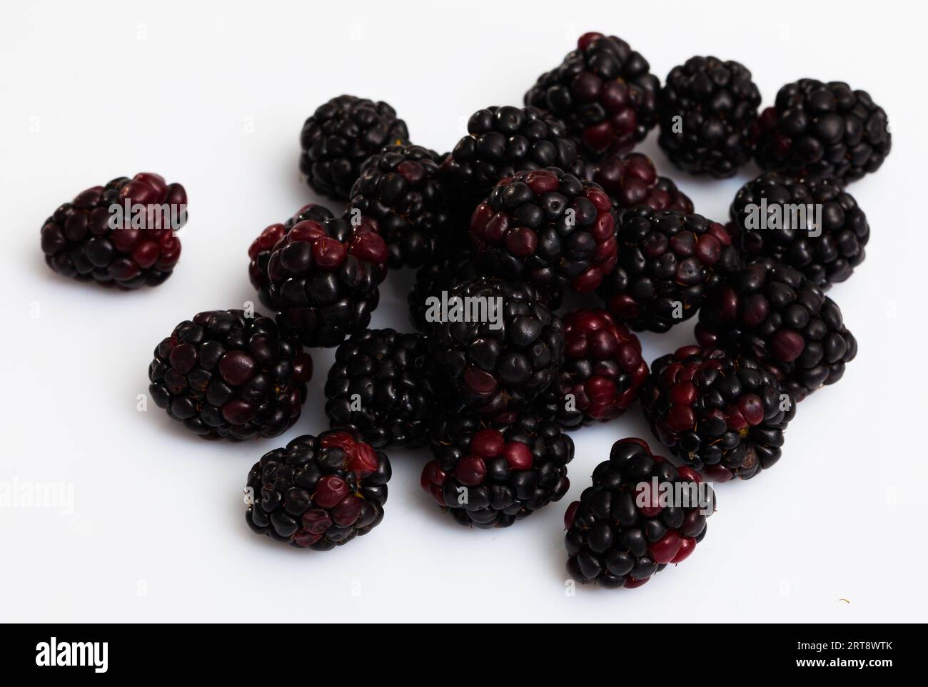 Fresh bramble on white background Stock Photo - Alamy