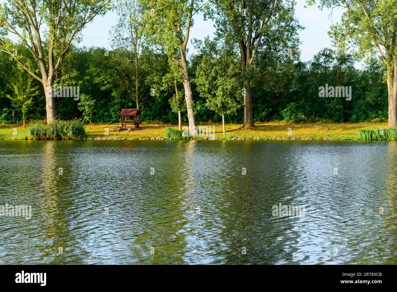 Beautiful summer landscape Stock Photo - Alamy