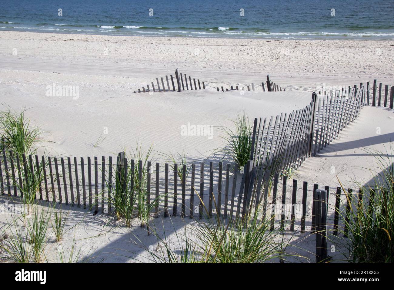 A wooden slated sand fence is partly buried in an ocean beach dune ...