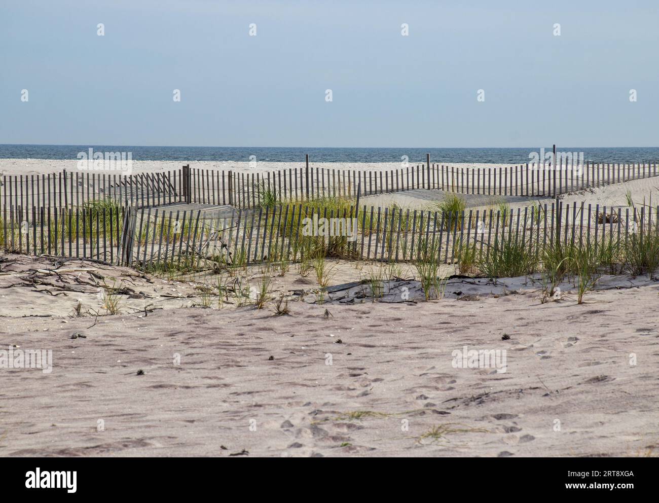 A wooden slated sand fence is partly buried in an ocean beach dune ...