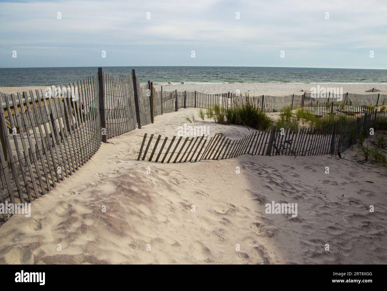 A wooden slated sand fence is partly buried in an ocean beach dune ...