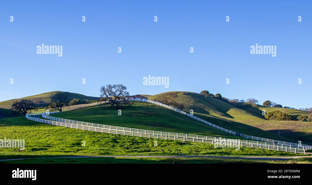 Pano A white ranch fence are running diagonally up a green grass ...