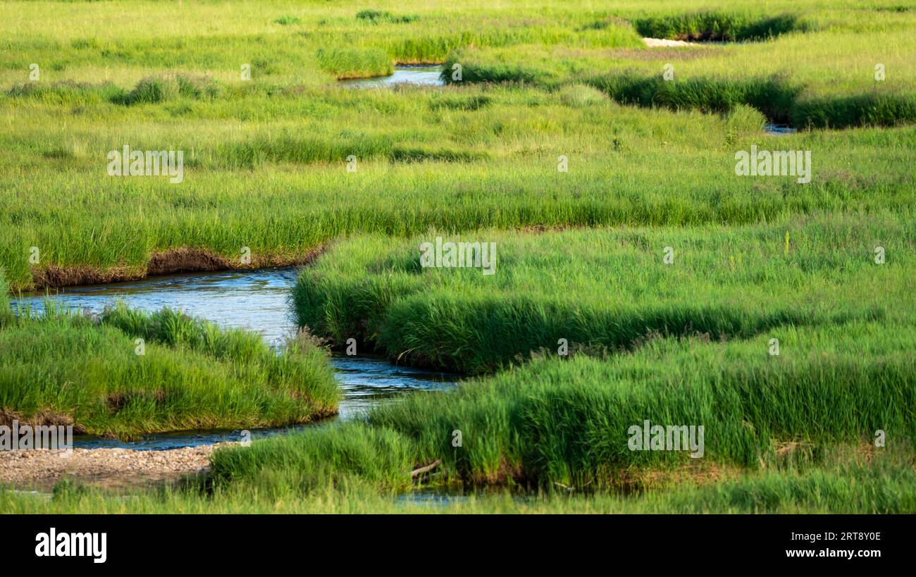 Creek meanders hi-res stock photography and images - Alamy