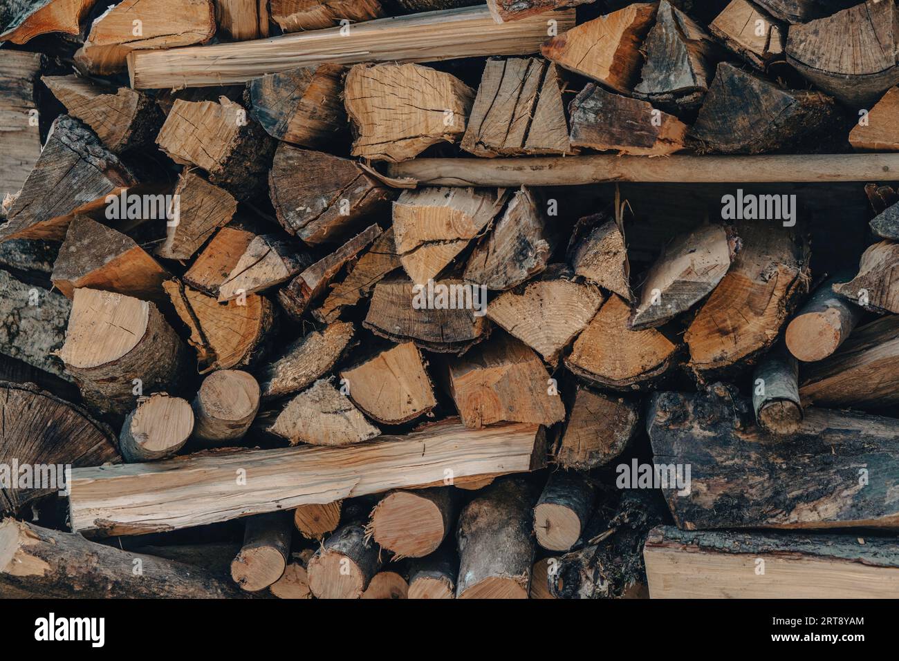 Preparation firewood winter in forest hi-res stock photography and ...