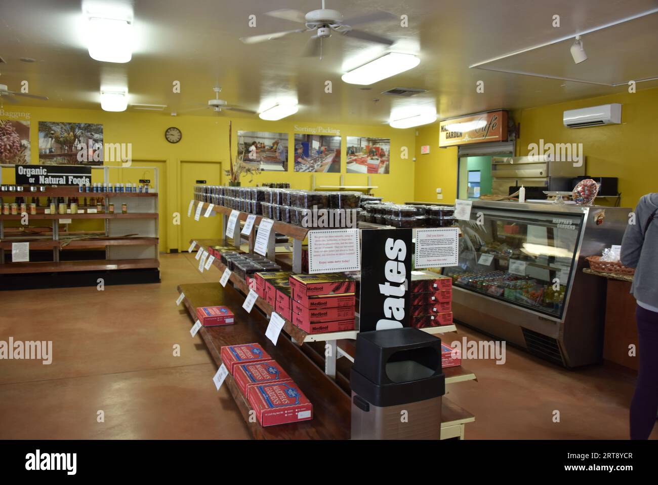 Yuma, AZ USA. 3/14/2023. Martha’s Gardens Medjool Date Farm was founded ...