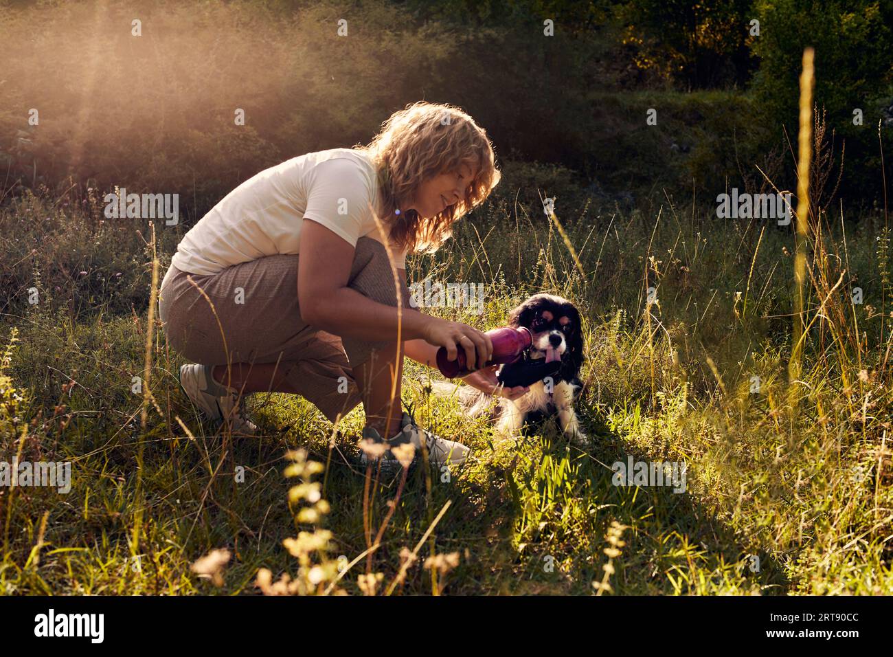The girl pours water from a thermos for a dog on a walk Stock Photo - Alamy