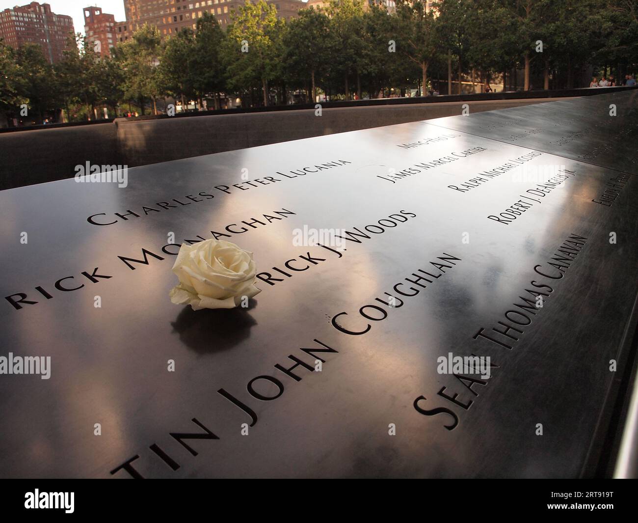 White roses inserted in a 9/11 victims memorial plaque at Ground Zero ...