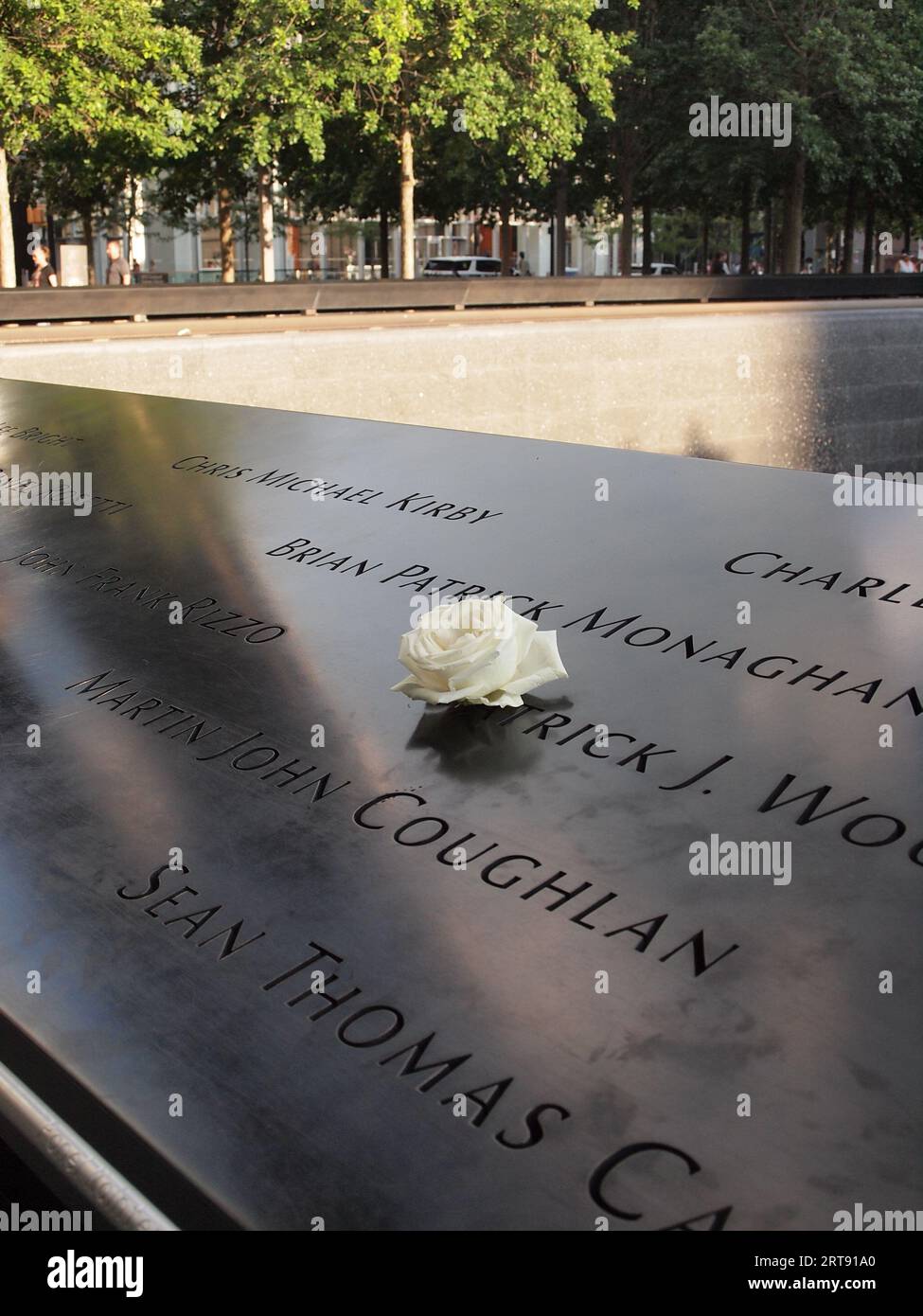 White roses inserted in a 9/11 victims memorial plaque at Ground Zero ...