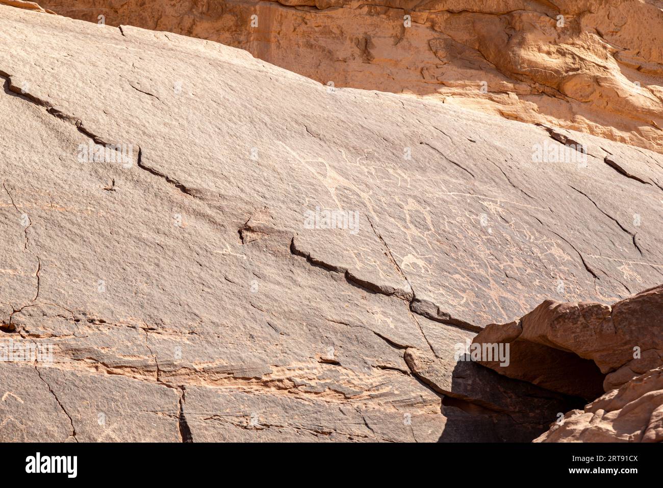 Petroglyphs (rock carvings) on the rocks of Wadi Rum desert, Jordan ...