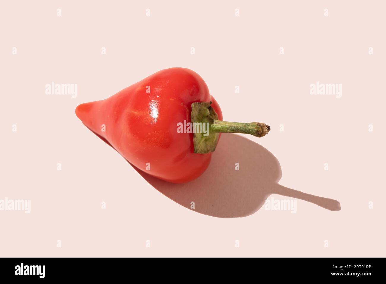A pod of red hot pepper with a hard shadow on a light pink background ...