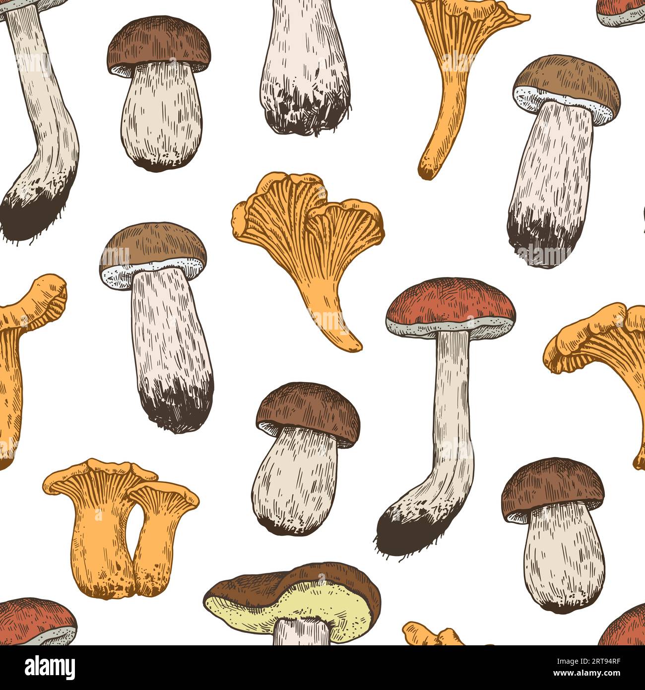 Seamless pattern with mushrooms in retro engraving style. Vintage hand ...
