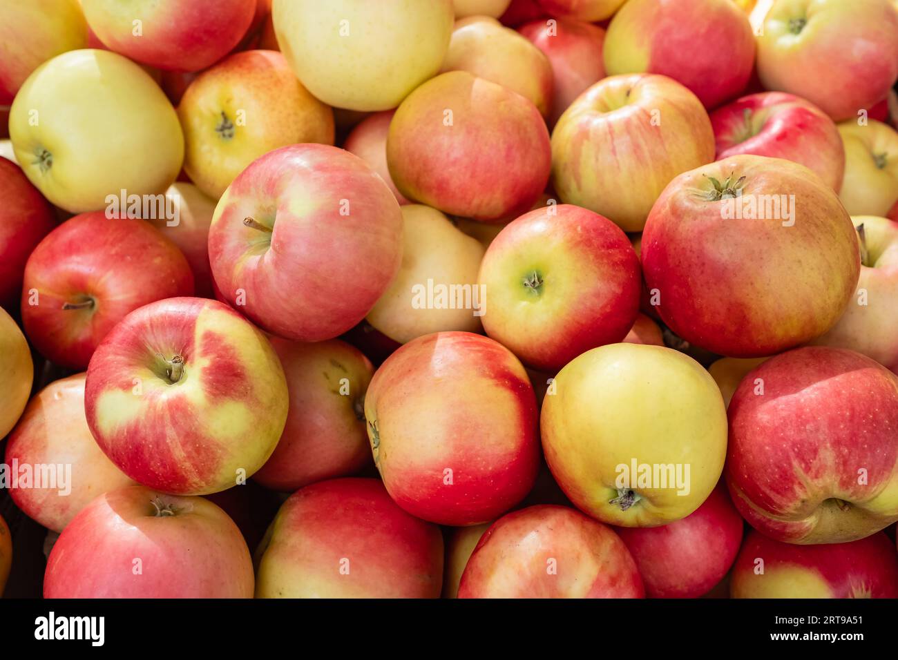 Fresh ripe red apples as background. apples on the market counter ...