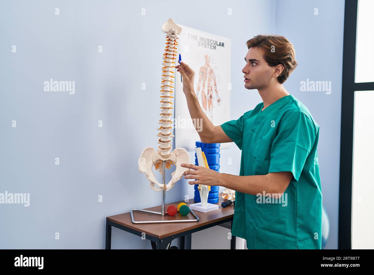 Young caucasian man physiotherapist touching anatomical model of spinal ...