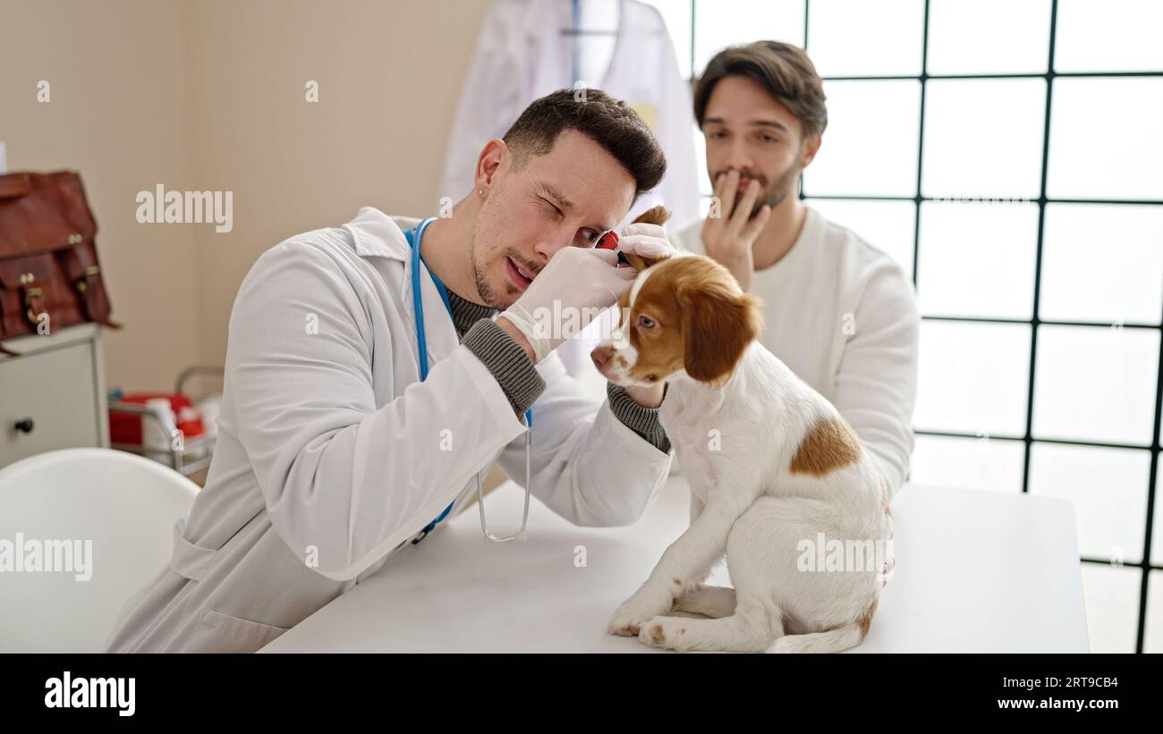 Vet examining ears dog otoscope hi-res stock photography and images - Alamy