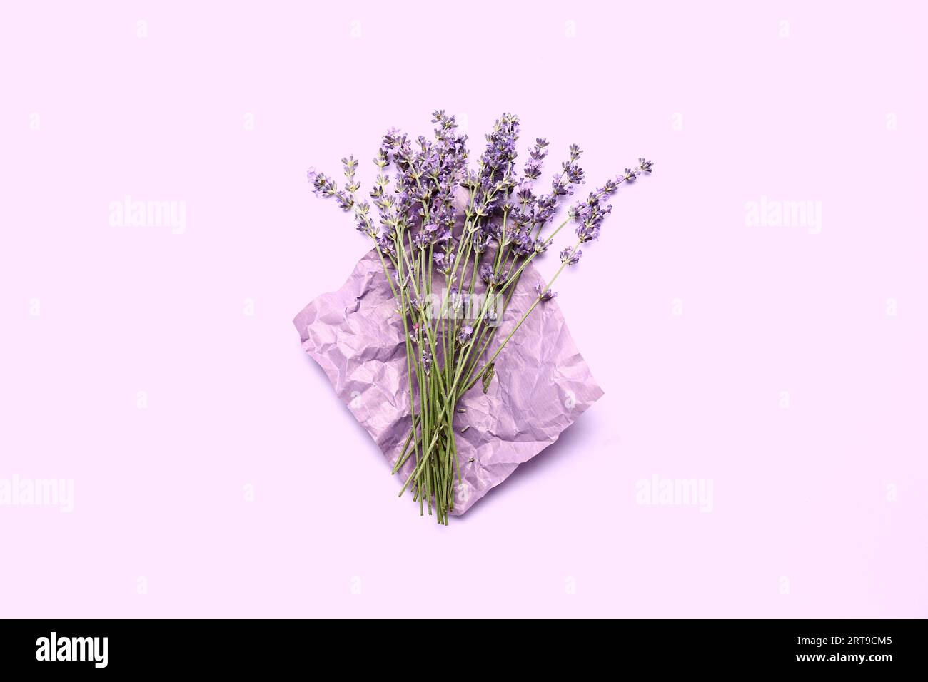 Crumpled paper with beautiful lavender flowers on purple background ...