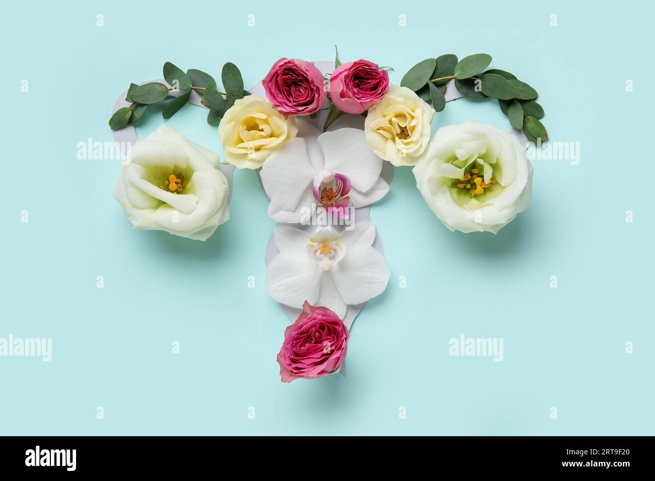 Uterus made of beautiful flowers on turquoise background Stock Photo ...