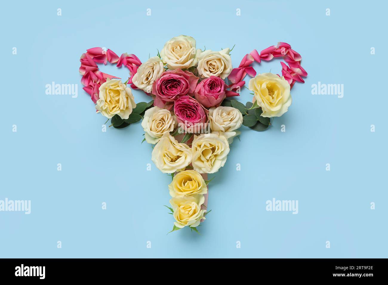 Uterus made of beautiful flowers on blue background Stock Photo - Alamy