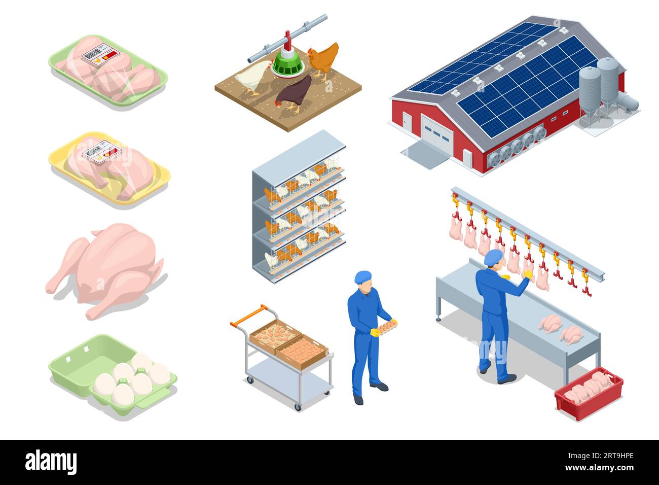 Isometric set icons of Poultry Farming concept. Poultry farm building ...