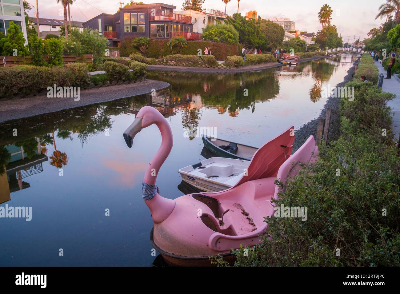 Flamingo boat hi-res stock photography and images - Alamy