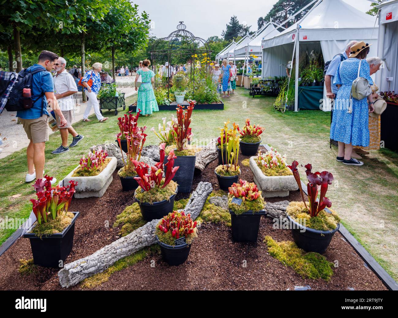 Stalls and display of carnivorous pitcher plants at the RHS Wisley ...