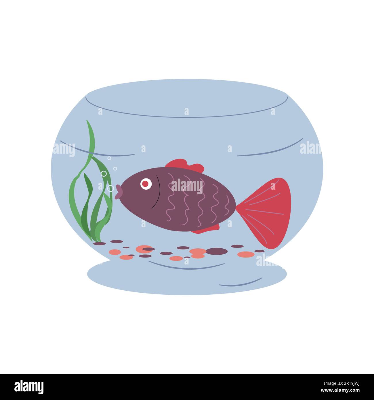 Seaweed and pebbles Stock Vector Images - Alamy