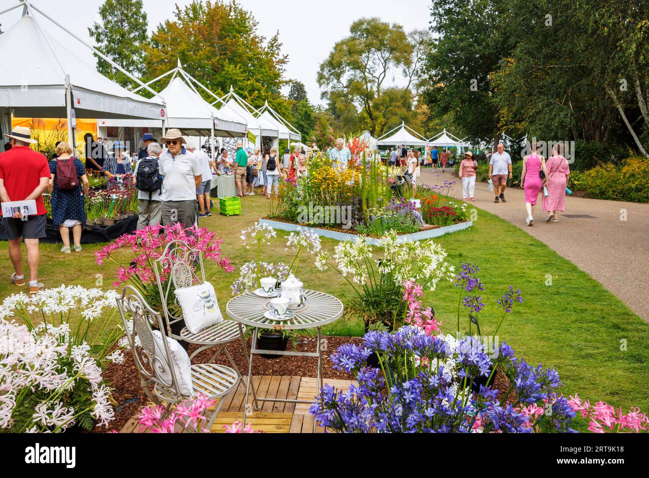 Stalls and agapanthus display at the RHS Wisley Flower Show supported ...