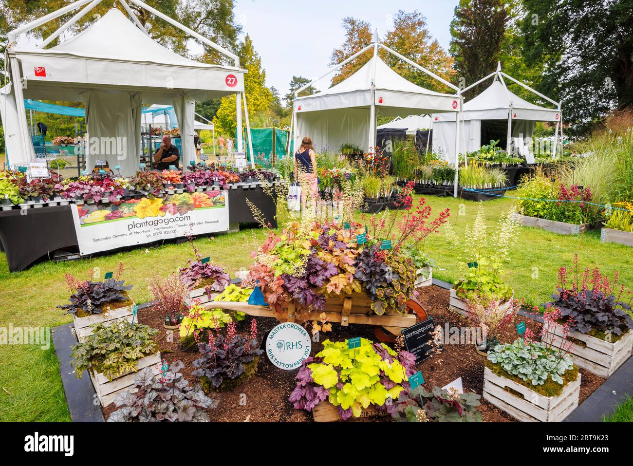 Stalls and display of heucheras at the RHS Wisley Flower Show supported ...