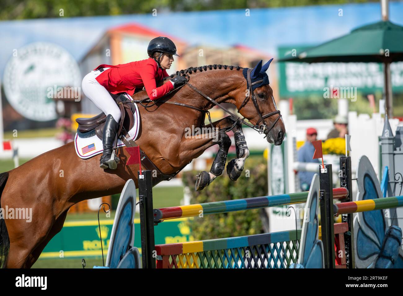 Volpi hi-res stock photography and images - Alamy