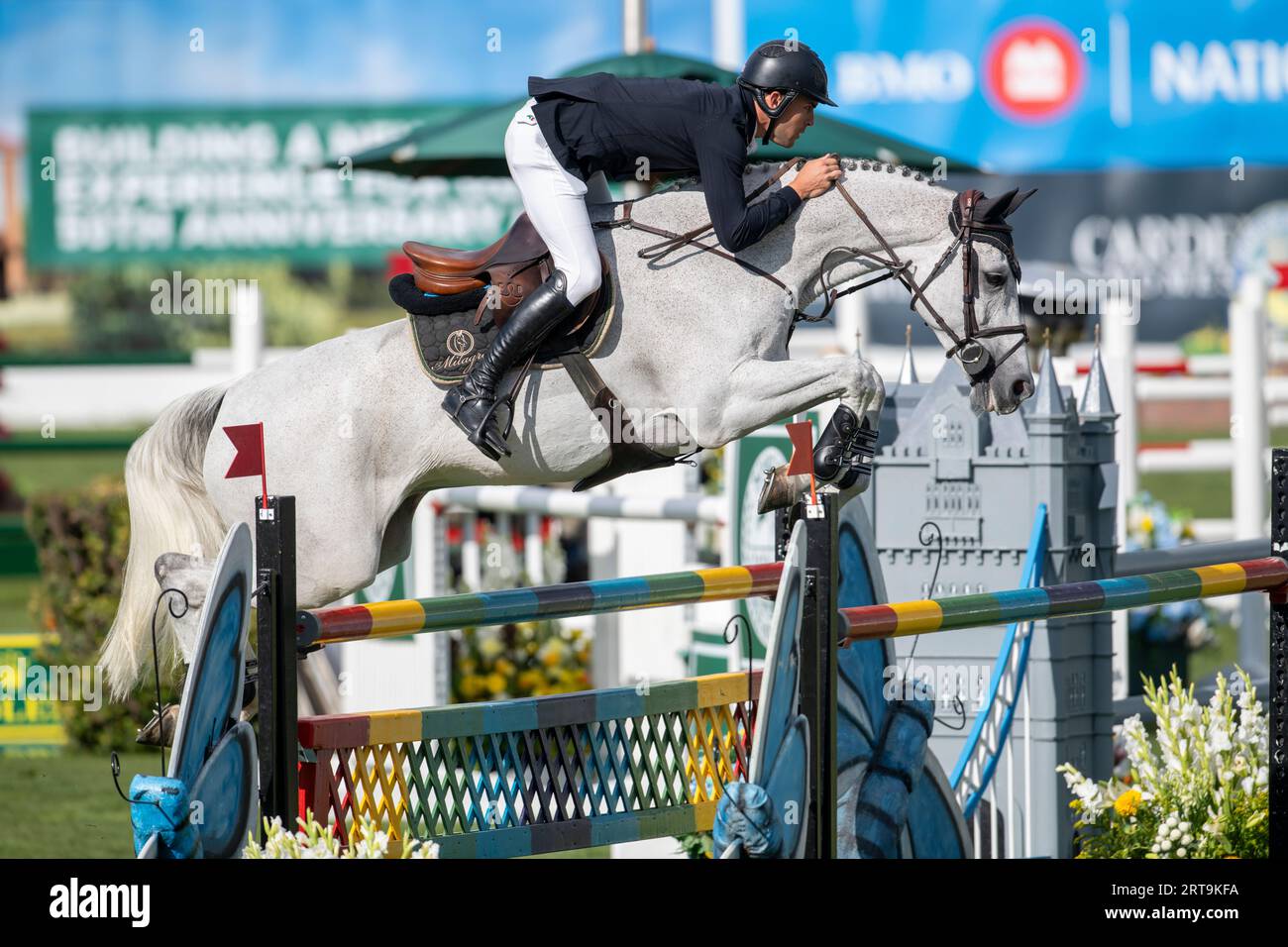 Eugenio garza perez hi-res stock photography and images - Alamy