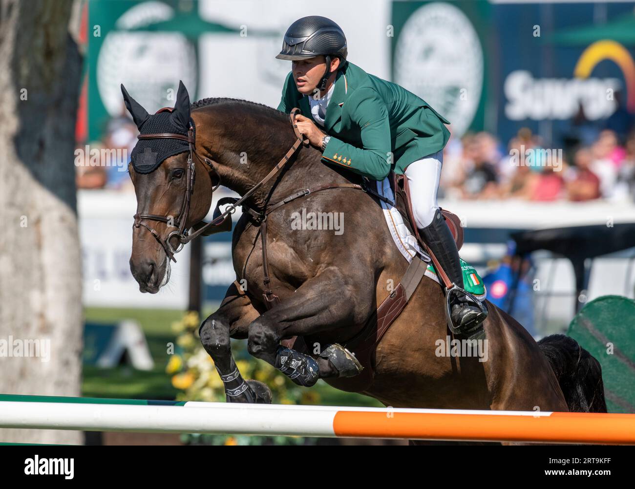 Bertram allen pacino amiro hi-res stock photography and images - Alamy