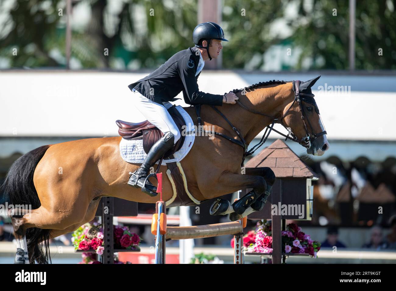 Scott brash hello jefferson spruce hi-res stock photography and images ...