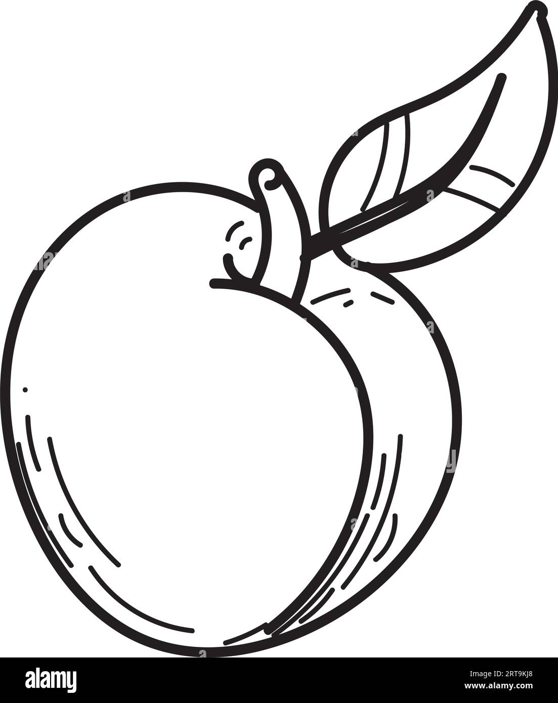 colorless peach illustration Stock Vector Image & Art - Alamy