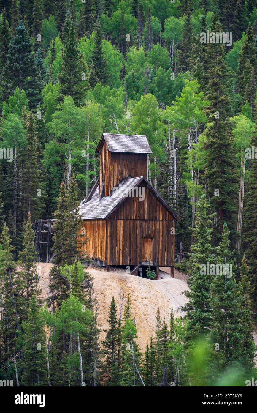 Old miners outbuilding in woods outside of Our Colorado Stock Photo - Alamy
