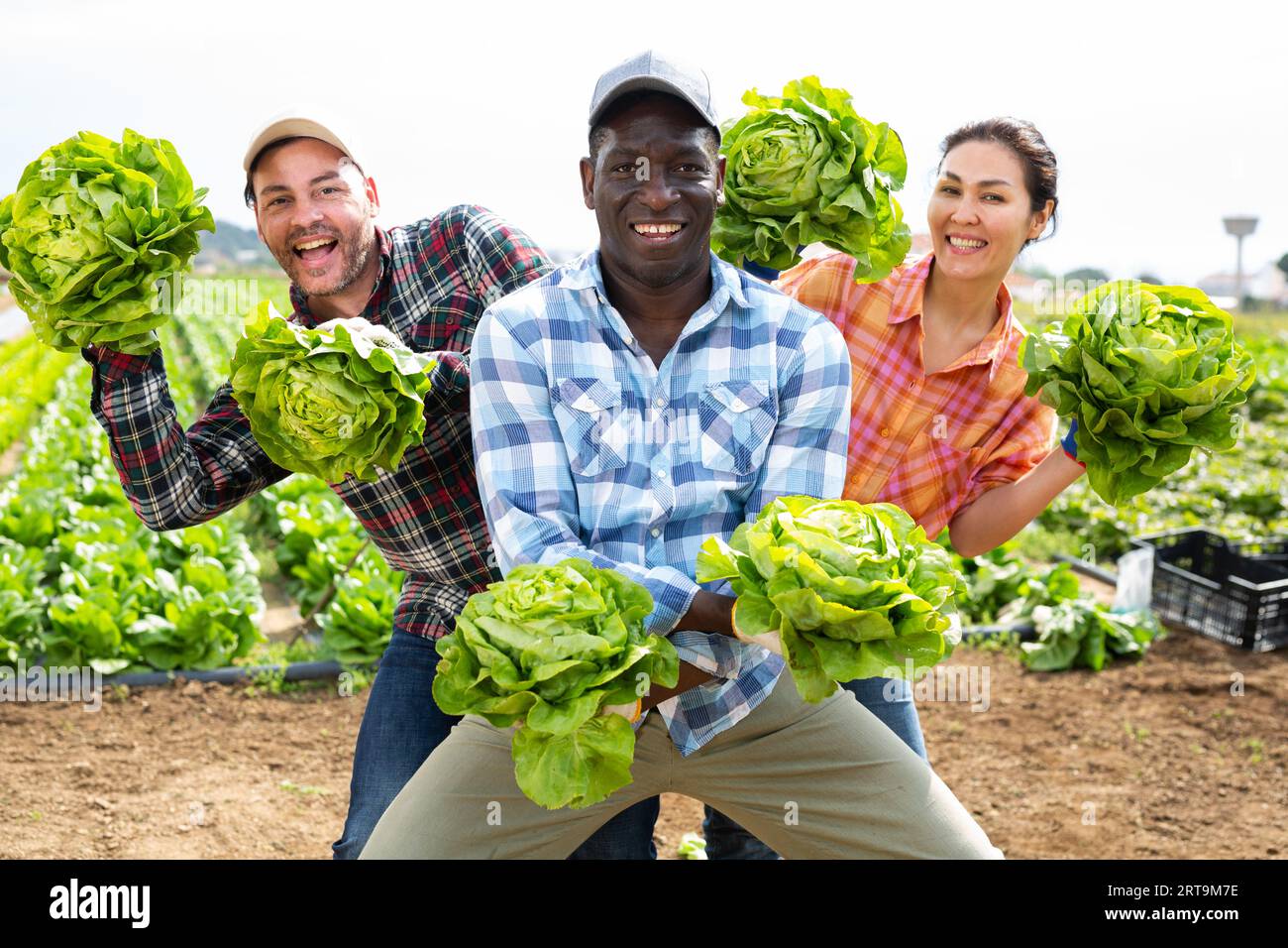 Three farmers play hi-res stock photography and images - Alamy