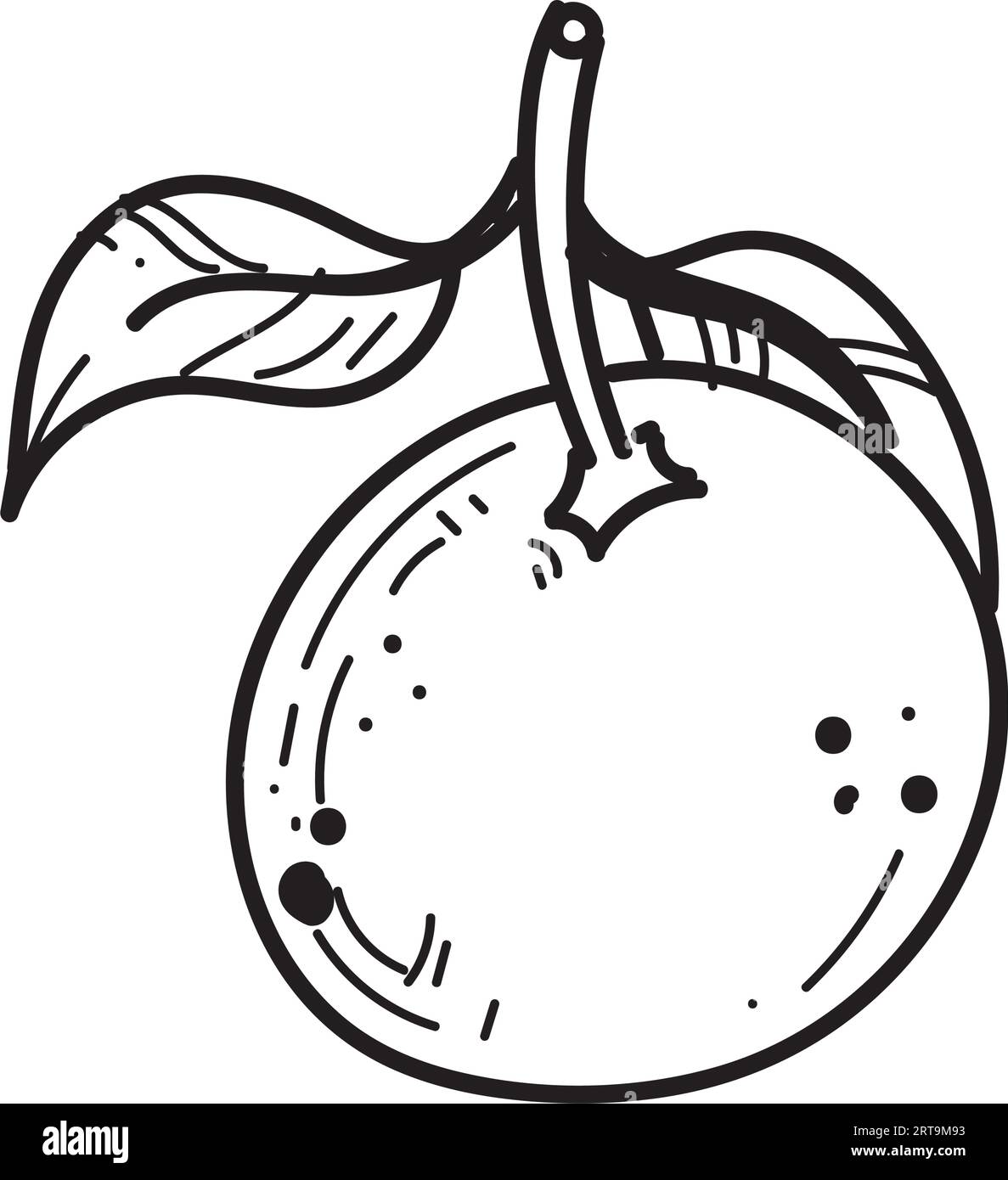 colorless orange illustration Stock Vector Image & Art - Alamy