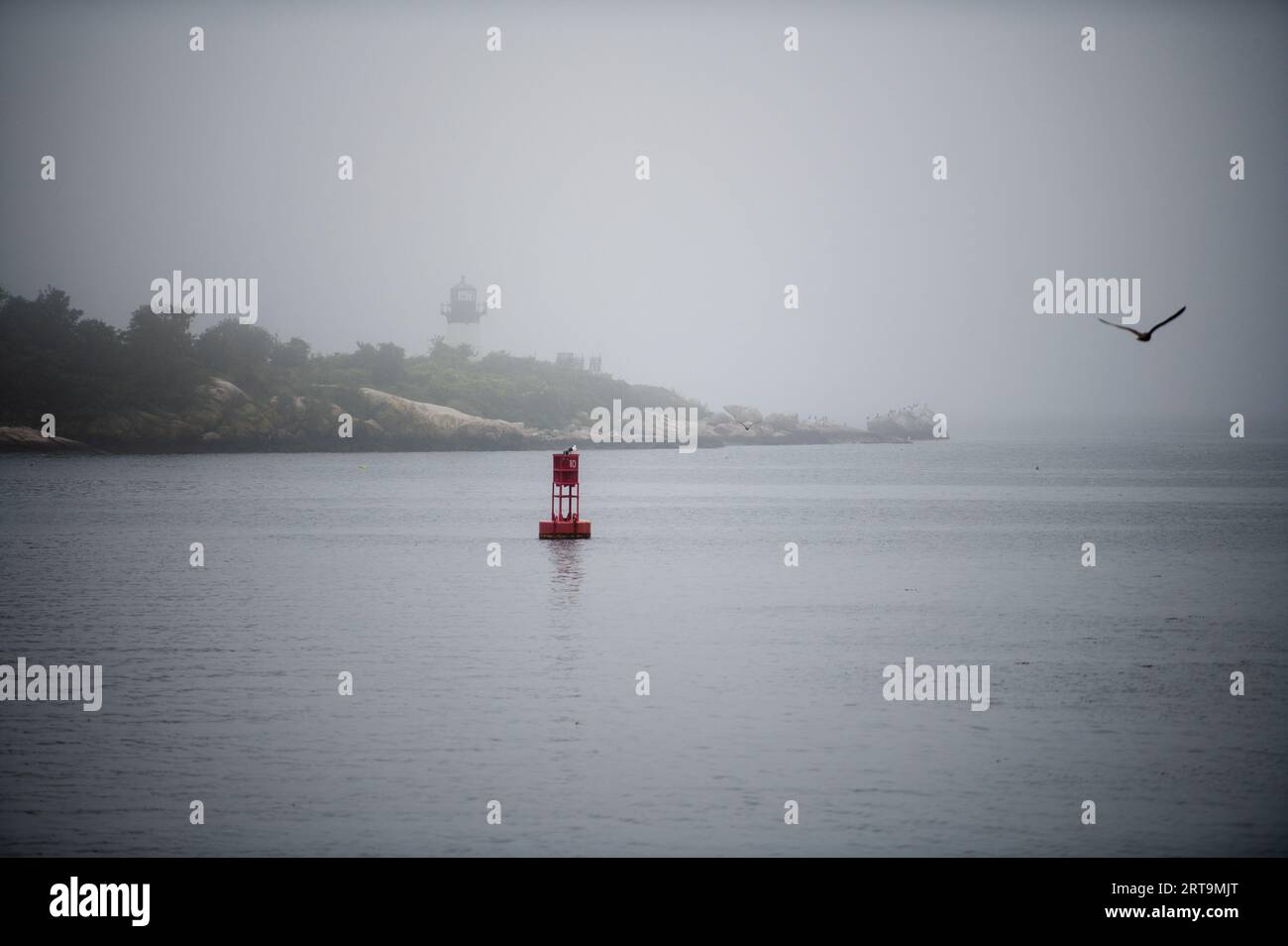 Red bouy in the ocean Stock Photo - Alamy