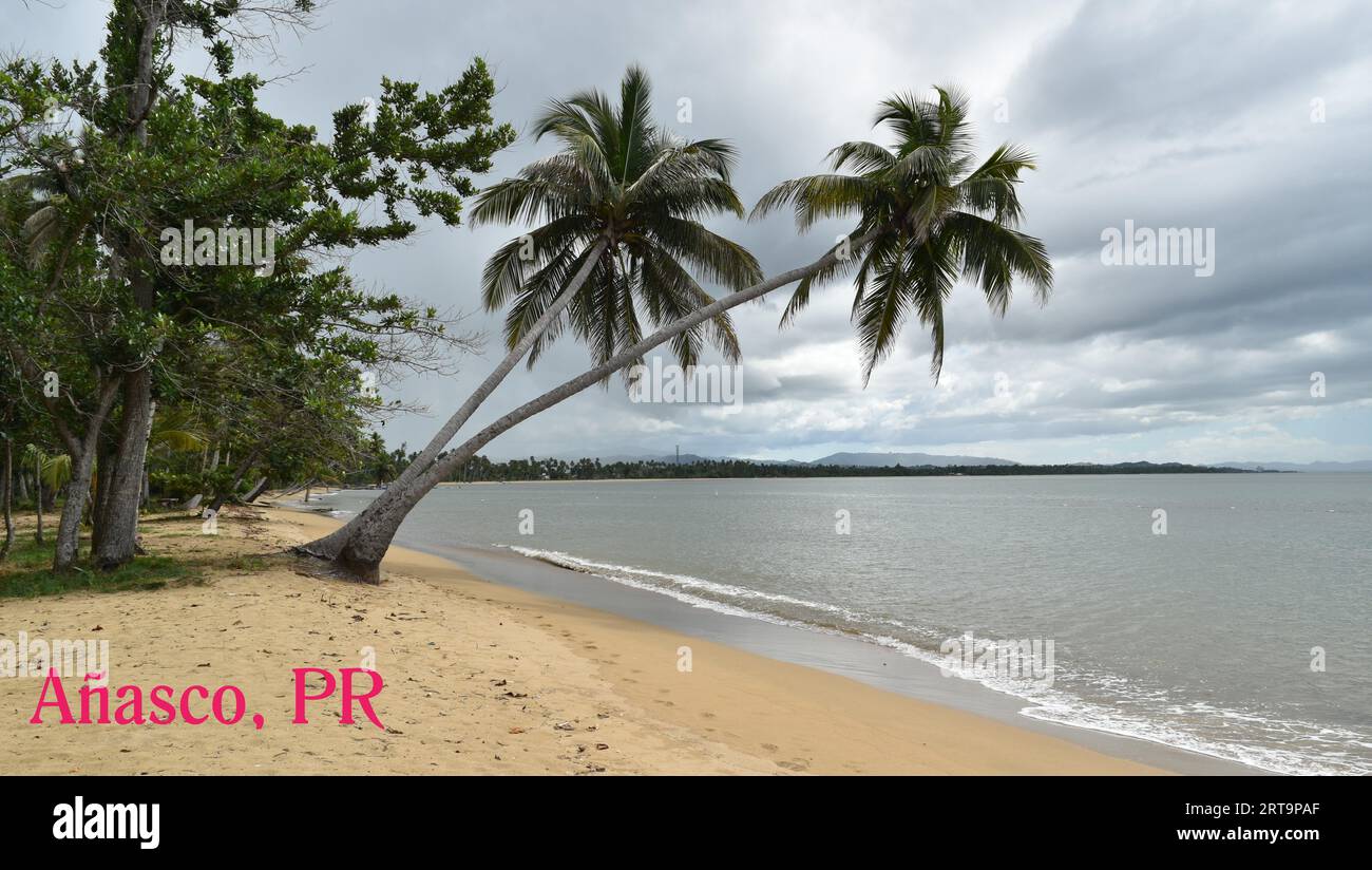 Enjoying the beautiful beaches of my island Puerto Rico, the Enchanted ...