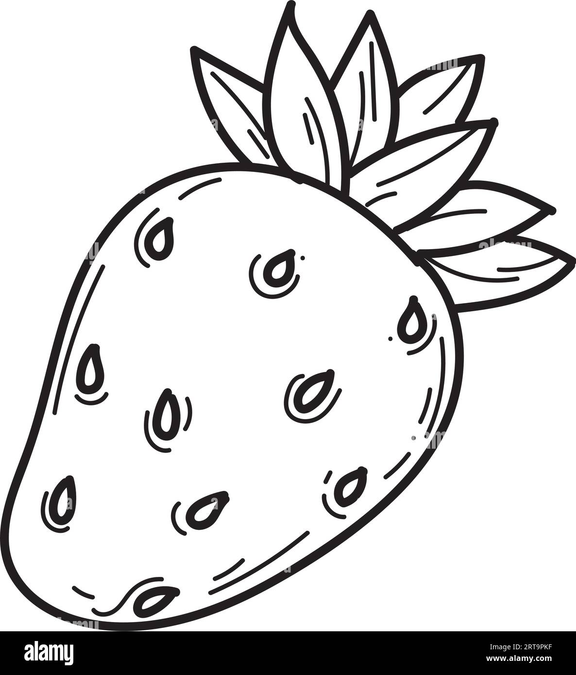 colorless strawberry illustration Stock Vector Image & Art - Alamy